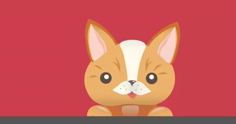 Animation of cute pet cat, on pink backg... | Stock Video | Pond5