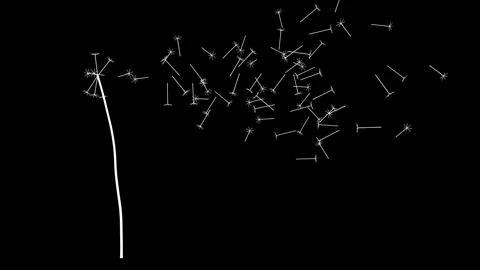Animation of a Dandelion Flower Blowing ... | Stock Video | Pond5