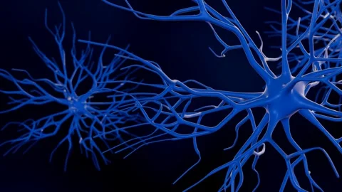 animation of dendritic neuron cells emit... | Stock Video | Pond5