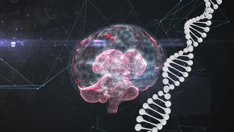 Animation of digital brain and dna stran... | Stock Video | Pond5
