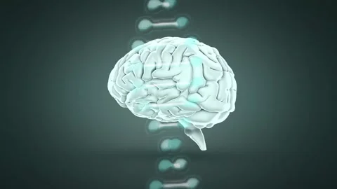 Animation of digital brain and dna stran... | Stock Video | Pond5