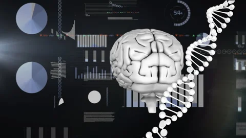 Animation of digital brain and dna stran... | Stock Video | Pond5