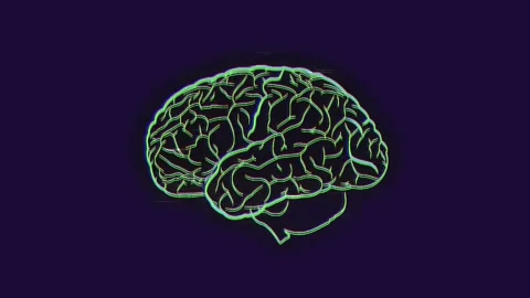 Animation of digital brain on black back... | Stock Video | Pond5