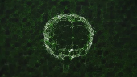 Animation of digital brain moving on bla... | Stock Video | Pond5