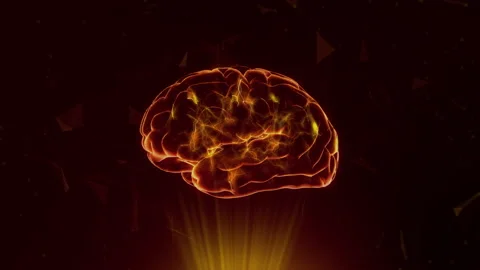 Animation of digital rotating brain repr... | Stock Video | Pond5