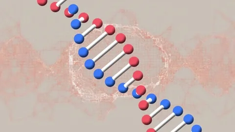 Animation of dna chain rotating over bra... | Stock Video | Pond5