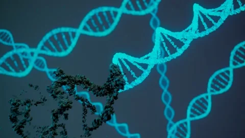 No Death Animation Stock Videos – Royalty-Free HD & 4K Videos | Pond5