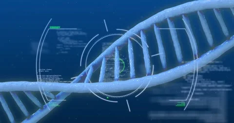 Animation of dna helix and digital scann... | Stock Video | Pond5