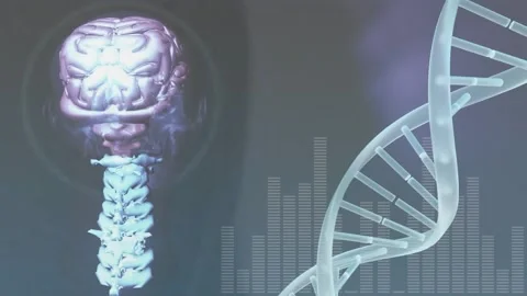 Animation of dna helix with digital huma... | Stock Video | Pond5