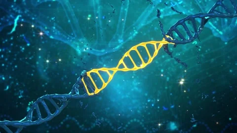 Animation of DNA helix transformation in... | Stock Video | Pond5