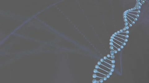 Animation of dna helix wit lens flare an... | Stock Video | Pond5