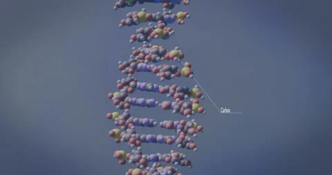 Animation of a DNA molecule and its stru... | Stock Video | Pond5