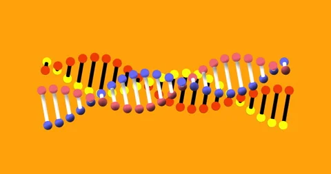 Animation of dna rotating on orange back... | Stock Video | Pond5