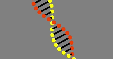 Animation of dna rotating over grey back... | Stock Video | Pond5