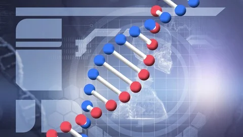 Animation of DNA strain spinning over 3D... | Stock Video | Pond5