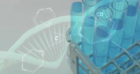 Animation of dna strand and chemical str... | Stock Video | Pond5