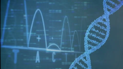 Animation of dna strand and data process... | Stock Video | Pond5