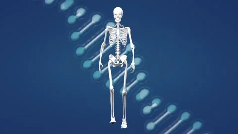 Animation of dna strand and skeleton on ... | Stock Video | Pond5