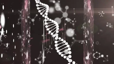 Animation of dna strand on black backgro... | Stock Video | Pond5