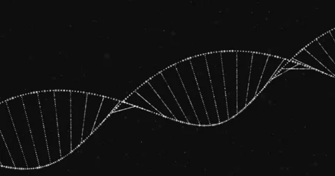 Animation of dna strand on black backgro... | Stock Video | Pond5