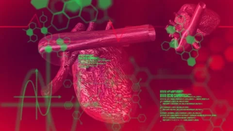 Animation of dna strand, human heart and... | Stock Video | Pond5
