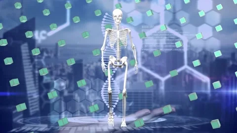 Animation of dna strand human skeleton a... | Stock Video | Pond5