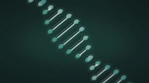 Animation of dna strand over fireworks o... | Stock Video | Pond5