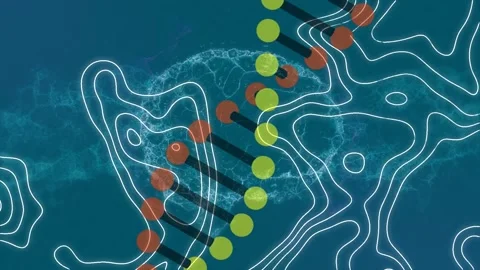 Animation of dna strand over shapes and ... | Stock Video | Pond5