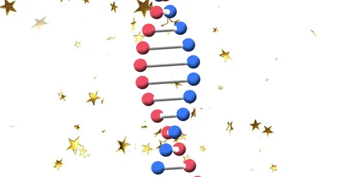 Animation of DNA strand with red and blu... | Stock Video | Pond5