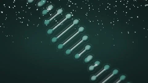 Animation of dna strand rotating over sn... | Stock Video | Pond5