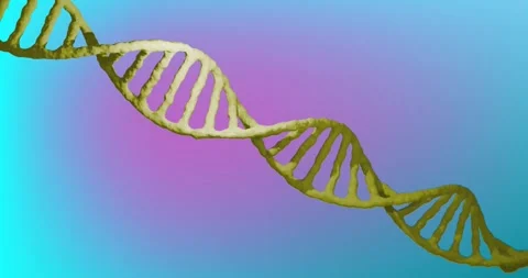 Animation of dna strand spinning on blue... | Stock Video | Pond5
