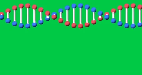 Animation of dna strand spinning with co... | Stock Video | Pond5