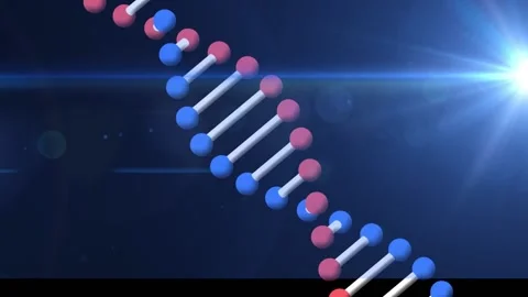 Animation of dna strand spinning with gl... | Stock Video | Pond5
