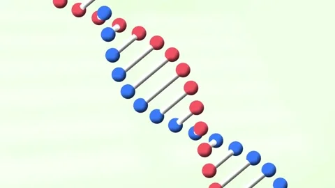 Animation of dna strand spinning on gree... | Stock Video | Pond5