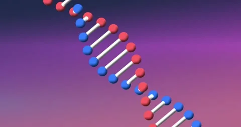 Animation of dna strand spinning over pu... | Stock Video | Pond5