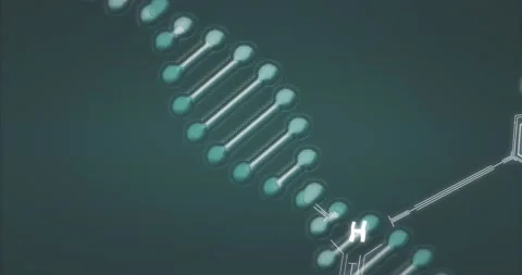 Animation of dna strand spinning over ch... | Stock Video | Pond5