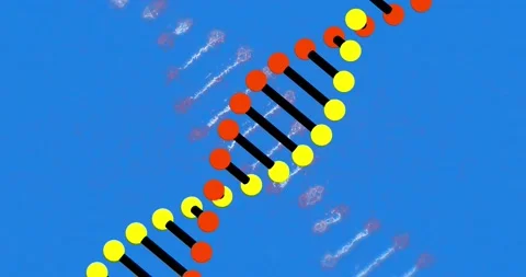Animation of dna strands spinning on blu... | Stock Video | Pond5