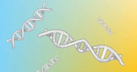 Animation of dna strands spinning over y... | Stock Video | Pond5