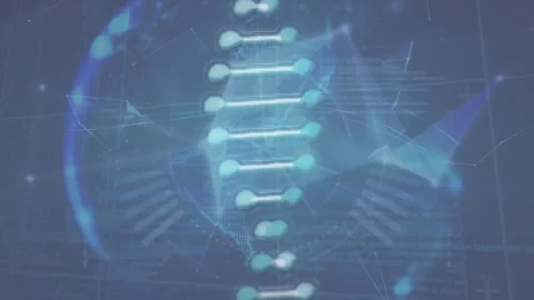 Animation of dna structure spinning over... | Stock Video | Pond5