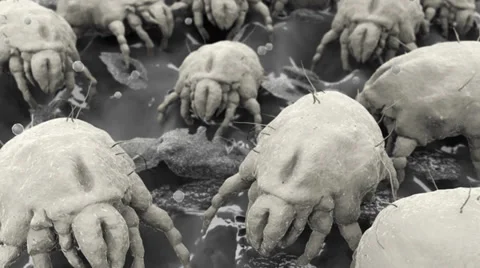 3Dust Animation Stock Videos – Royalty-Free HD & 4K Videos | Pond5