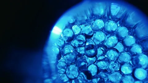 Animation of early embryonic development... | Stock Video | Pond5