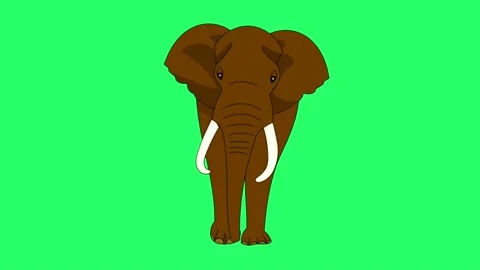 Animation elephant on green screen. | Stock Video | Pond5