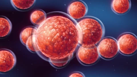 Animation of embryonic stem cells | Stock Video | Pond5