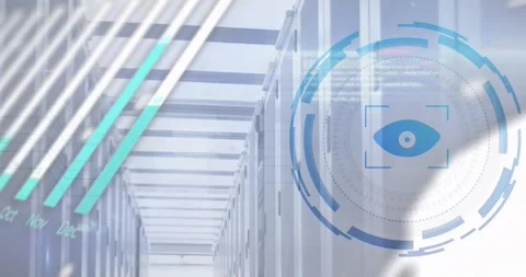 Animation of eye retina scanner and stat... | Stock Video | Pond5