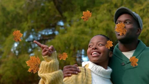 Animation of fall leaves falling over ha... | Stock Video | Pond5