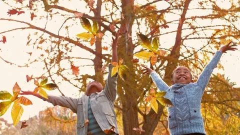 Animation of fall leaves falling over ha... | Stock Video | Pond5