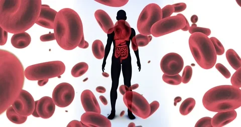 Animation of falling blood cells over hu... | Stock Video | Pond5