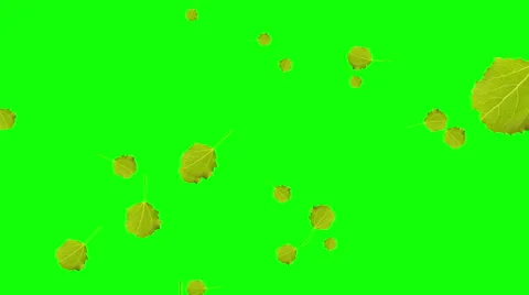 Animation of falling leaves. Autum video... | Stock Video | Pond5