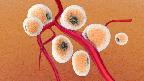 Animation of Fat Cells connecting to Blo... | Stock Video | Pond5
