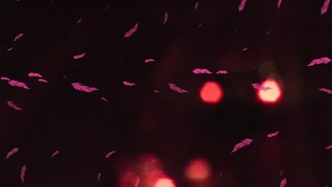 Animation of feathers falling over blurr... | Stock Video | Pond5